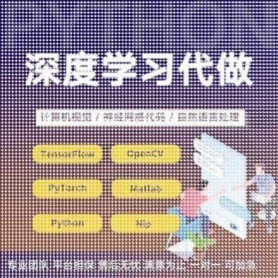 python深度学习pytorch算法神经网路代码nlp程序代 做机器爬虫编