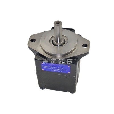 T6CM-B12-1R01-C1压铸机高压油泵T6CM-B14-3R02-C1船舶机械液压泵