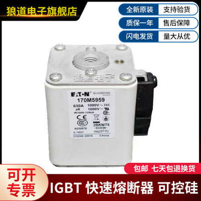 巴斯曼170M5956 170M5957 170M5958 170M5959 熔断器  极速发货