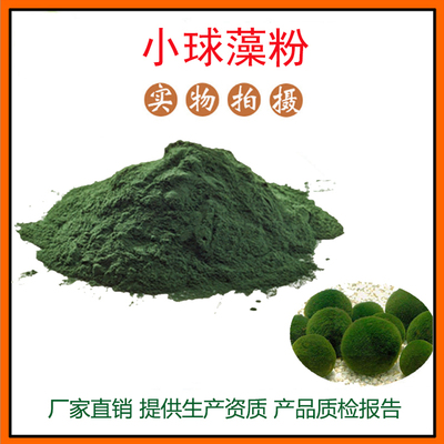 小球藻粉99% 蛋白核小球藻粉 小球藻提取物 绿藻粉 量大从优 包邮