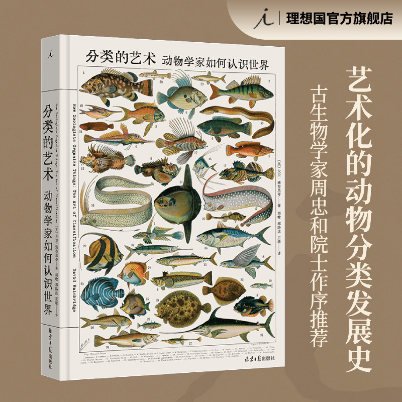 分类的艺术 动物学家如何认识世界 大卫 班布里奇 著 一部艺术化的动物分类发展史 理想国图书旗舰店