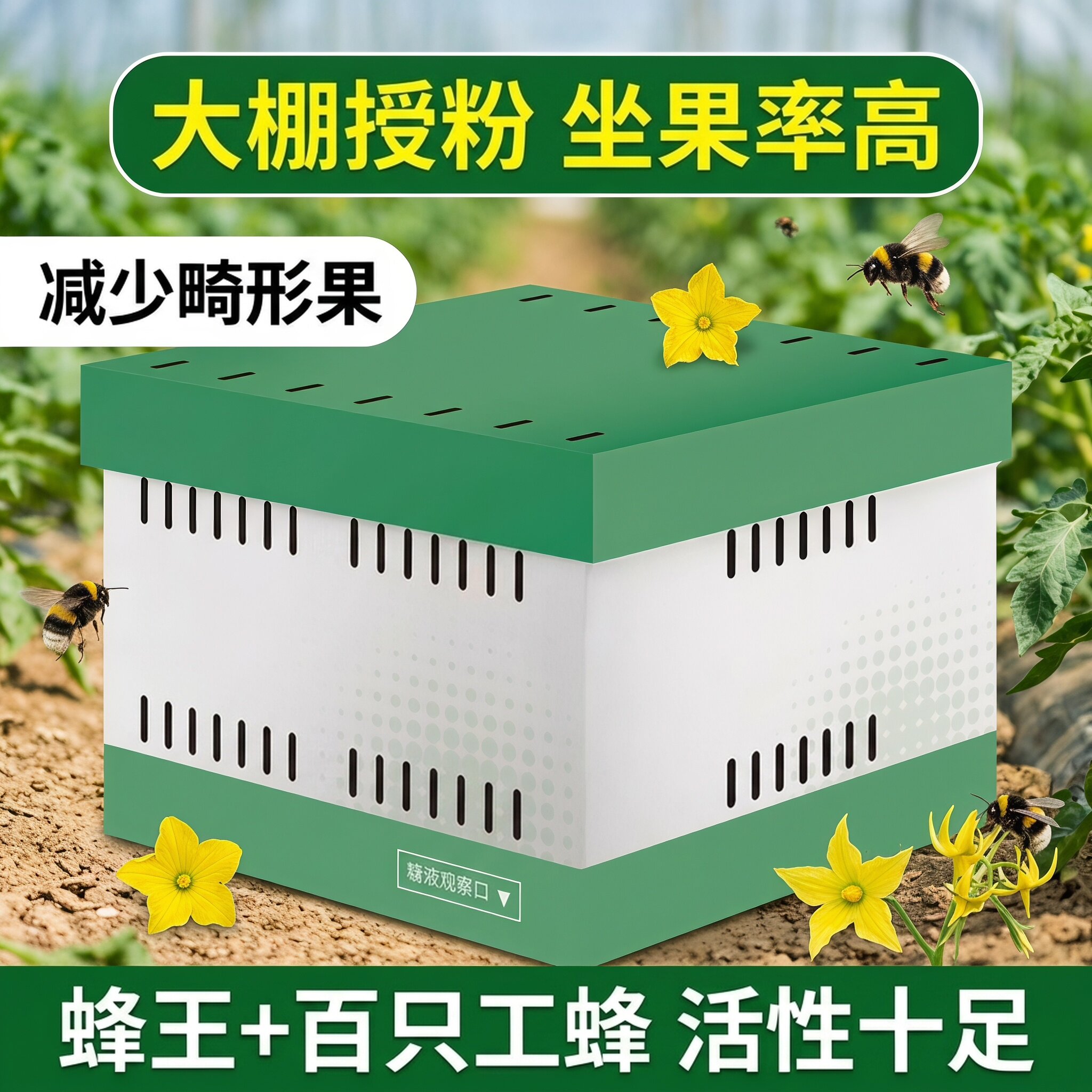 蜜蜂熊蜂养殖箱大棚授粉坐果率高减少畸形果蜂王百只工蜂活性足量