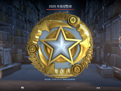 csgo服役勋章 cs2服役勋章  2025年服役勋章 cs2csgo等级代打经验