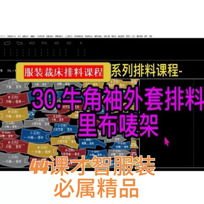 et软件制版44课服装裁床排料 ET排唛架算用量视频教程排料课程n5