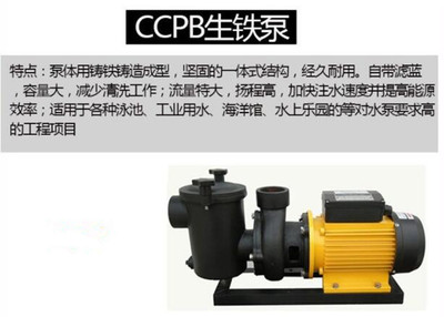 大流量高扬程CCPB 系列 按摩浴池 游泳池循环过滤铸铁泵