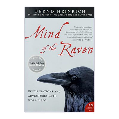 Mind of the Raven 渡鸦的智慧 佛蒙特大学生物系教授 Bernd Heinrich