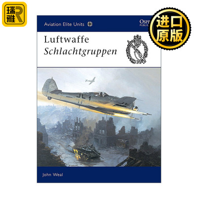 Luftwaffe Schlachtgruppen 德国空军地面攻击大队 航空精锐部队系列
