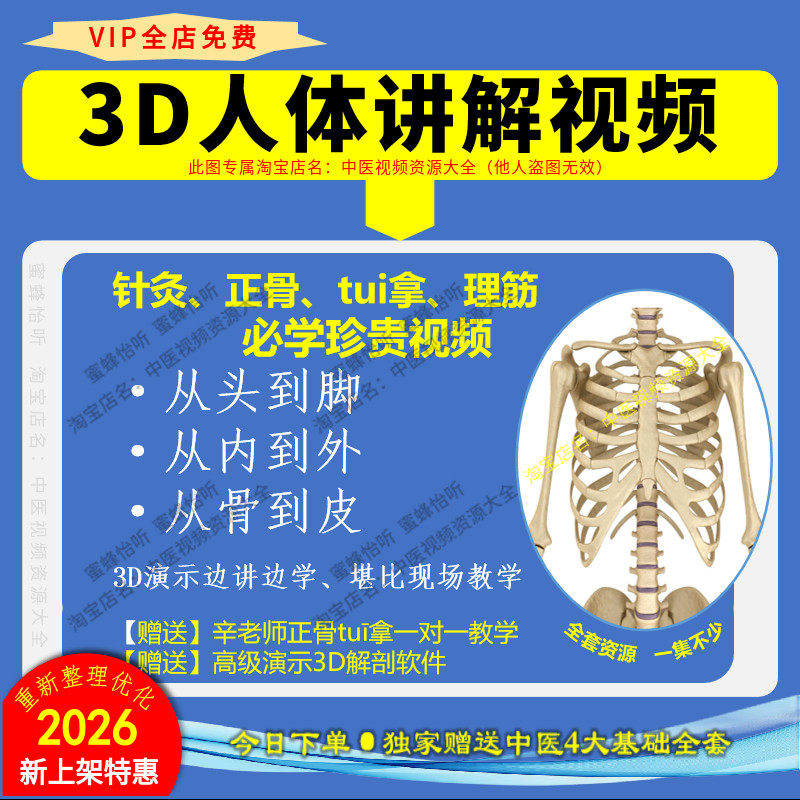 3D人体讲解自学习中医视频人体骨骼3D动态演示全集动画讲解课程