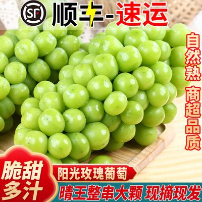 大凉山阳光玫瑰葡萄顺丰包邮