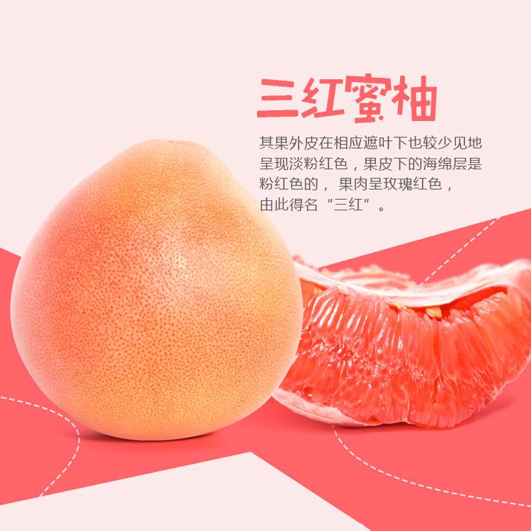 红心三红肉蜜柚子正宗福建平和特产琯溪当季新鲜水果中秋彩礼盒装