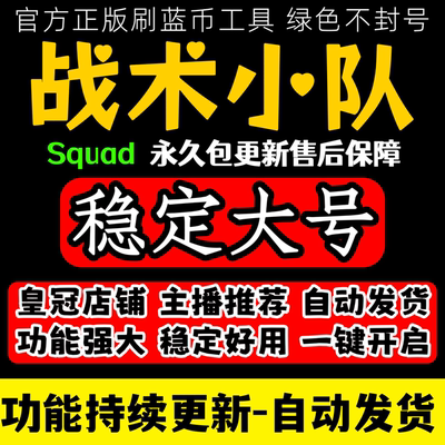 战术小队辅助ve魔法squad科技24h自动发货稳定好用 支持steam平台