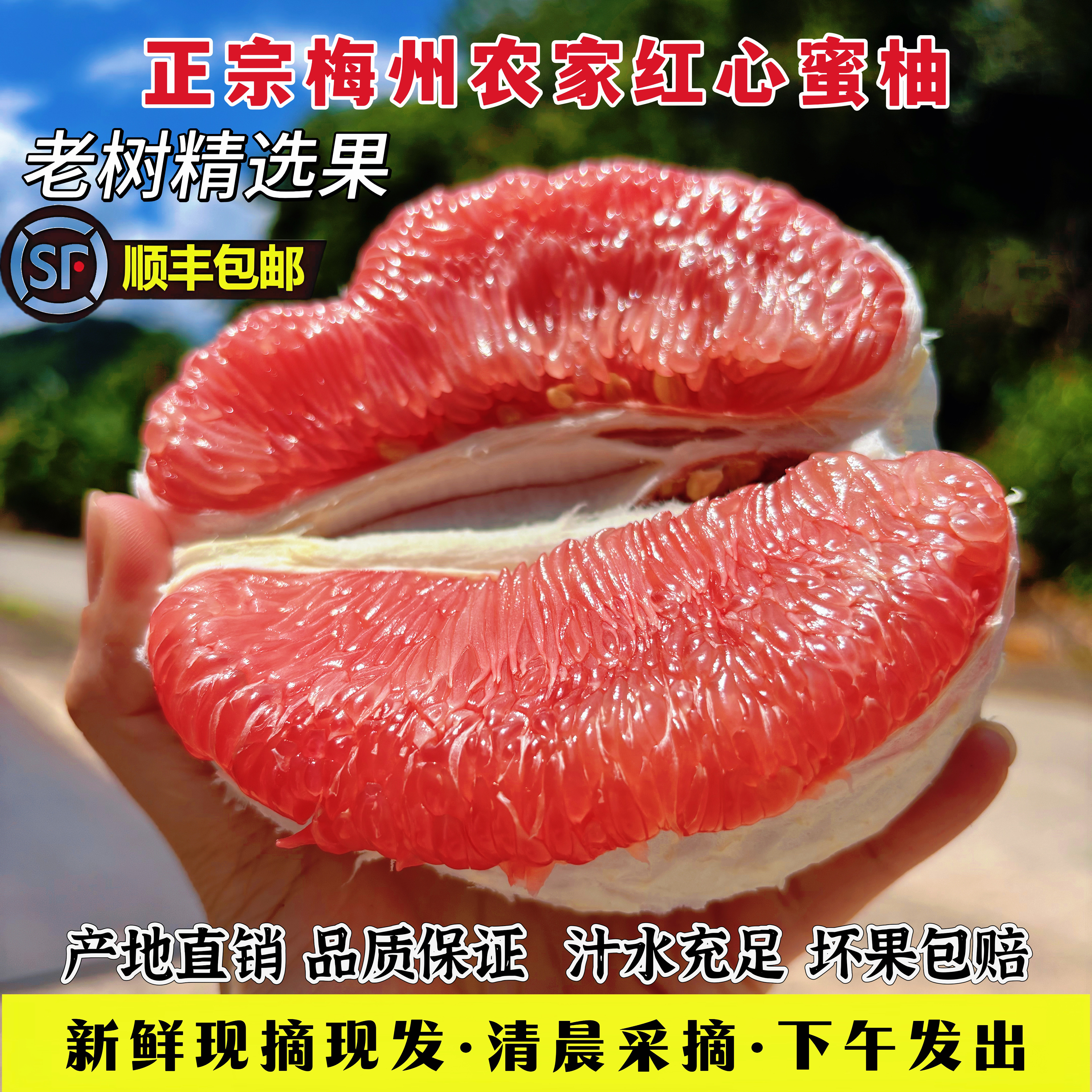 顺丰包邮梅州红心蜜柚当季新鲜三红柚子孕妇水果现摘白柚中秋送礼