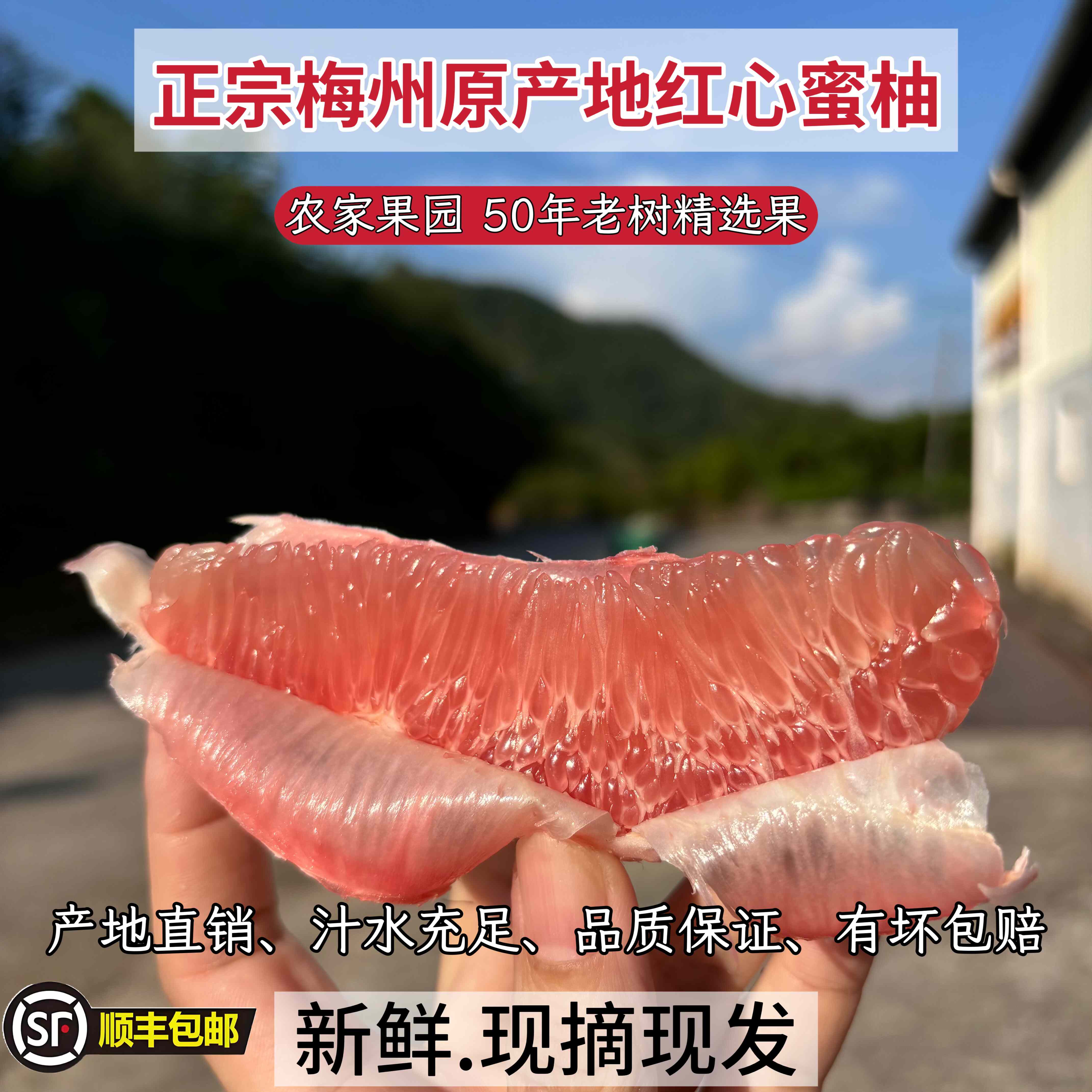 正宗梅州红心蜜柚当季新鲜孕妇水果三红柚子现摘发顺丰中秋送礼盒