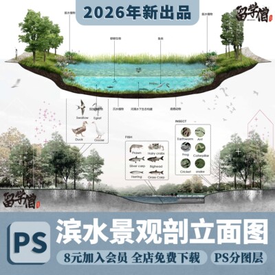 2026竞赛灰调PS园林景观滨水湿地公园立剖面图分析图PSD分层素材