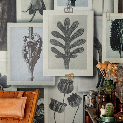 罗马尼亚原装BLOSSFELDT'SART