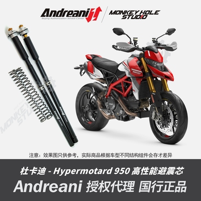 Andreani 安德烈尼 杜卡迪 Hypermotard 950 改装避震器  减震器