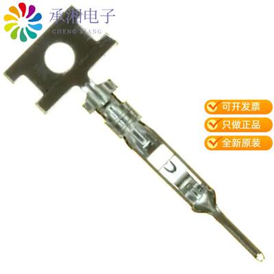 全新SIN-81T-3.6S正品CONN TERM WTB 12AWG TIN