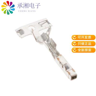 正品1670146-1原装MCON-1.2 CB (SWS)