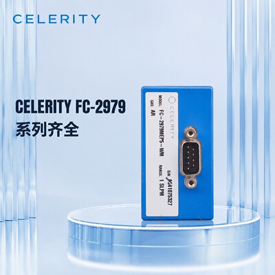 议价美国CELERITY FC-2979MEP5-WM 气体质