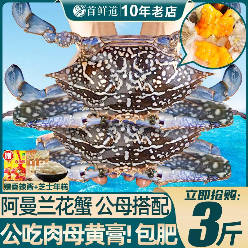 兰花蟹梭子蟹阿曼鲜活冷冻特大螃蟹冻蟹海鲜水产红膏蟹新鲜飞蟹白