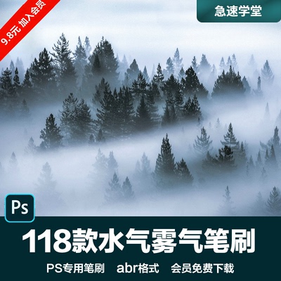 PS后期素材真实的大自然浓雾迷雾雾气水气烟雾图案背景abr笔刷