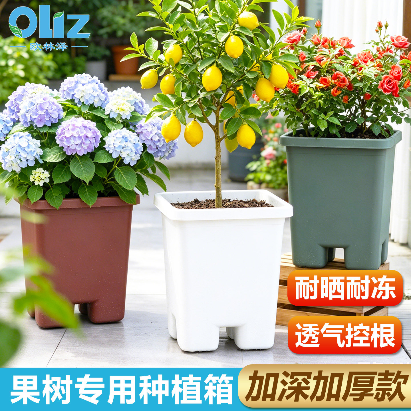蓝莓专用盆种树盆葡萄果树盆加深特大号绣球月季盆户外种植箱花箱