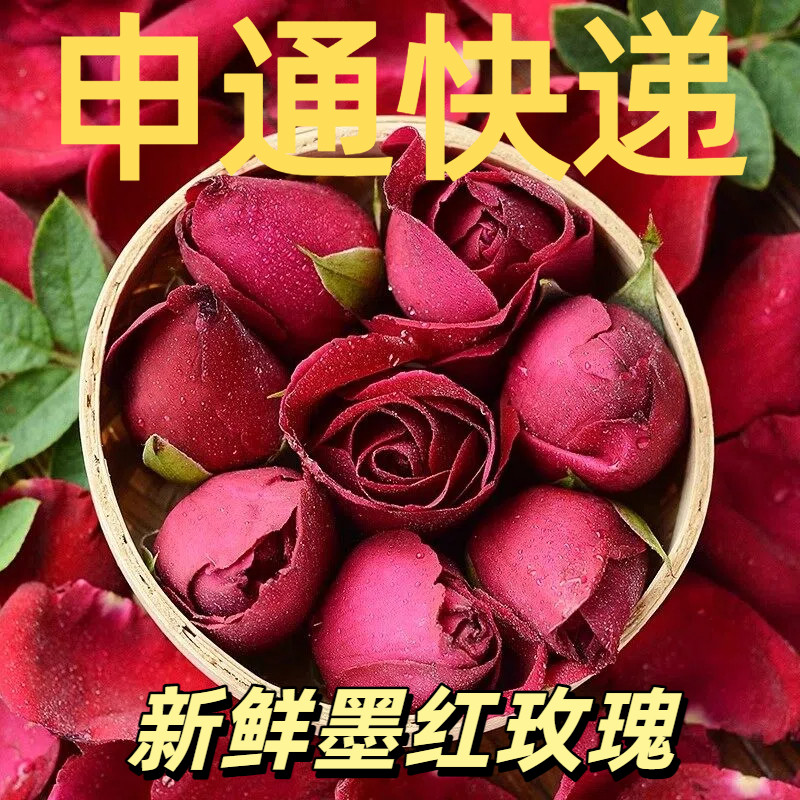 申通包邮现货云南高原墨红玫瑰花新鲜可食用玫瑰花朵可做玫瑰醋酱
