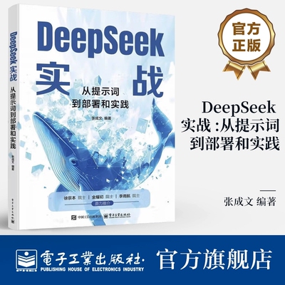 DeepSeek实战 从提示词到部署和实践 MoE架构与多Token预测 Web UI对话界面搭建 RAG系统构建 大模型应用书籍正版