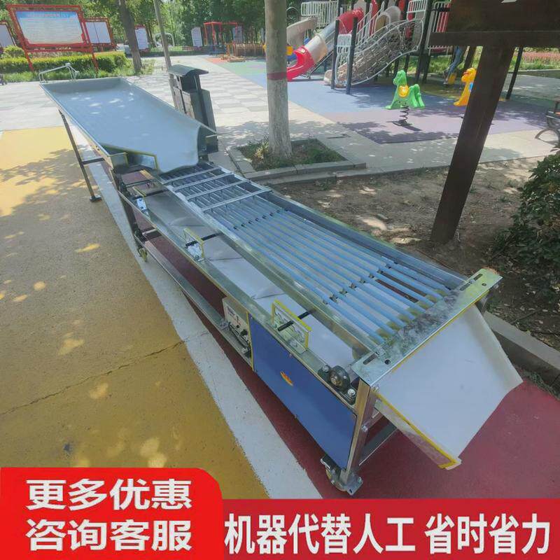筛选机分选机圣女果分级机草菇樱桃楂李子分拣选果多功能全自动机
