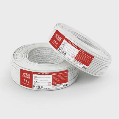 现货超五类四芯网线无氧铜cat5e电脑宽带網絡線4芯网线白色100米