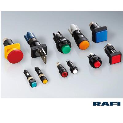 RAFI带灯RAFIX16金属银灰色按钮开关1.30.090.082/0000