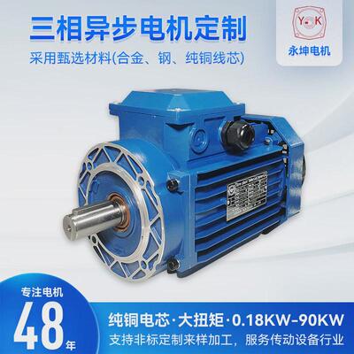 永坤厂家直销YVF系列变频调速电动机750W三相异步电机