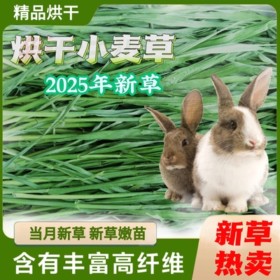 2025年烘干小麦草干草兔子龙猫荷兰猪牧草小麦新草 干草1000g毛重