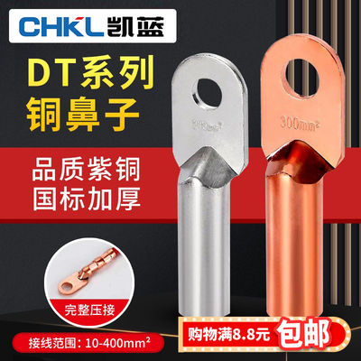 DT铜鼻子接线端子电线