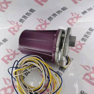 火焰探测器火检C7061A1012