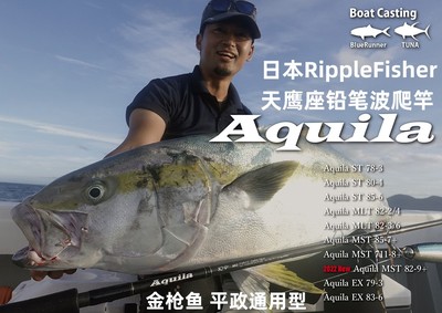 日本进口约泡牌aquila波扒竿铅笔