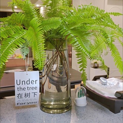超耐养天然芒萁蕨叶芒萁草鲜切客厅室内永生花新鲜水培植物水培