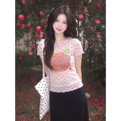 【赠送运费险】小红书博主推荐