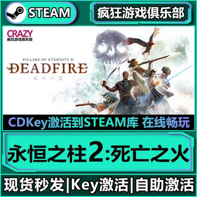 Steam正版永恒之柱2死亡之火游戏