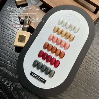 VDN2025年新款高密度猫眼甲油胶秋冬流行铂金猫眼美甲店小套系