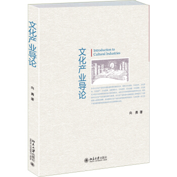 文化产业导论 向勇 文化产业的价值创新 文化产业价值转换 社会治理 组织管理  创意领导力 文化金融 文化治理 北京大学旗舰店正版