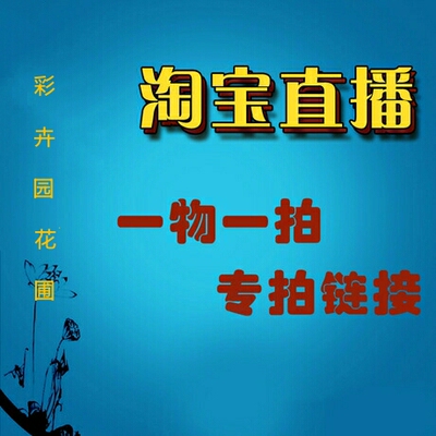 五针松罗汉松杜鹃盆景盆栽直播