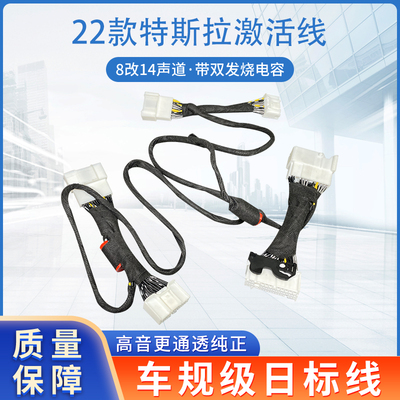 20-22特斯拉音响激活喇叭线