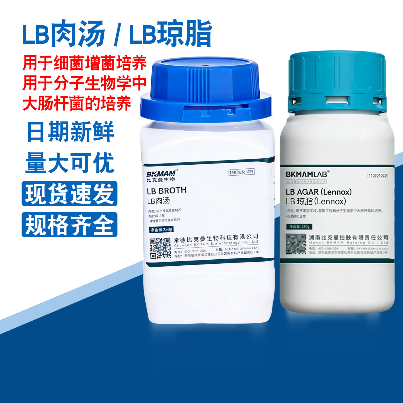 比克曼生物LB肉汤琼脂培养基细菌微生物增菌检测大肠杆菌培养实验