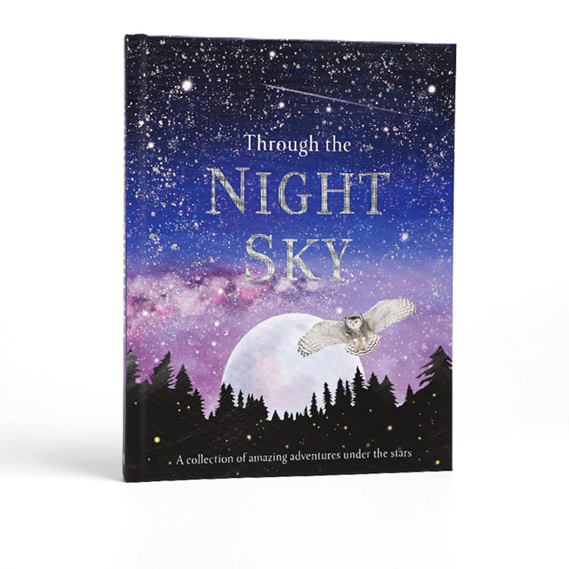 英文原版 DK Through the Night Sky穿过夜空儿童天文宇宙知识百科科普读物插图 DK出版学生课外阅读书籍_虎窝淘