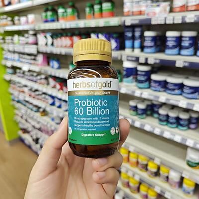 澳洲成人益生菌肠胃消化