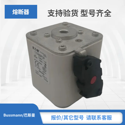 170M6539 170M6540 170M6541 170M6542巴斯曼Bussman方体熔断器