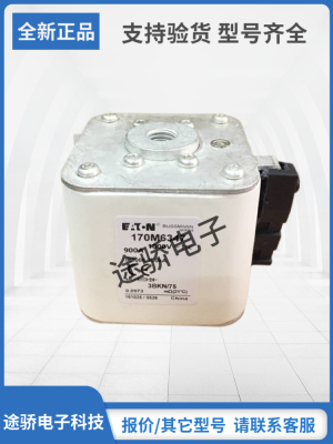 巴斯曼熔断器型号齐全