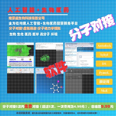 分子对接/虚拟筛选/分子动力学/作图/模型预测/教学/蛋白对接