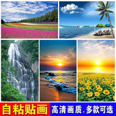 大自然山水画大海沙滩草原自粘